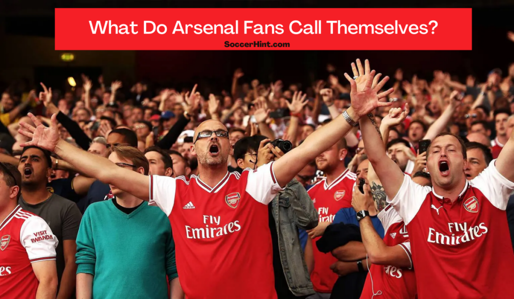 What Do Arsenal Fans Call Themselves? The History And More | Soccerhint.com